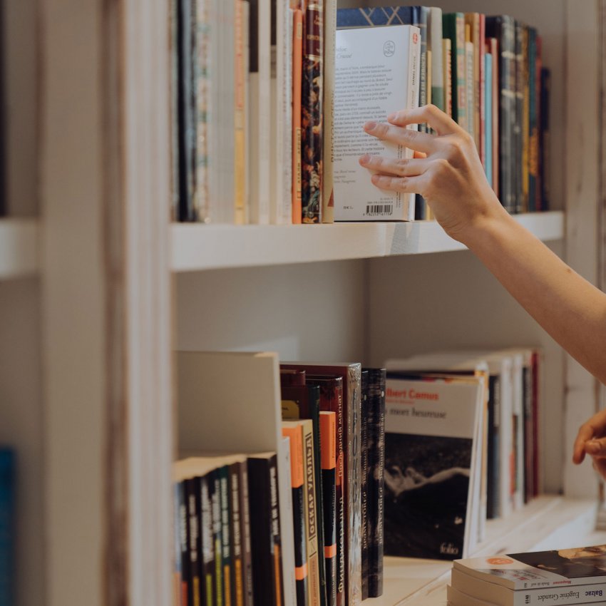 Organización | Mercy Studio